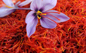 Saffron worth $29 million exported to foreign countries - OmidRadio