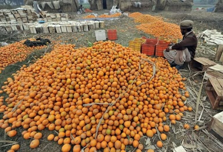 Kabul-Islamabad border closures lead to $6 million trade losses during ...